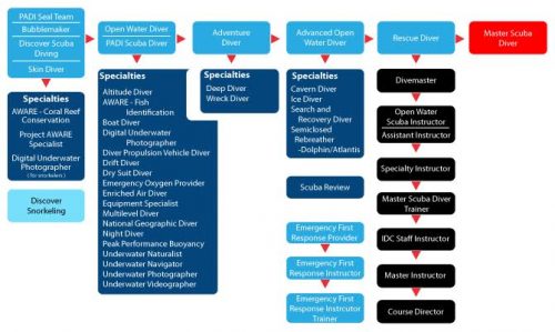 PADI Scuba Diving Certification Courses – Maple Leaf Scuba